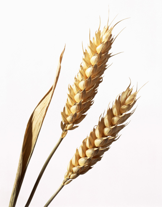 L'équipe Sucré Salé vous souhaite le meilleur pour 2024